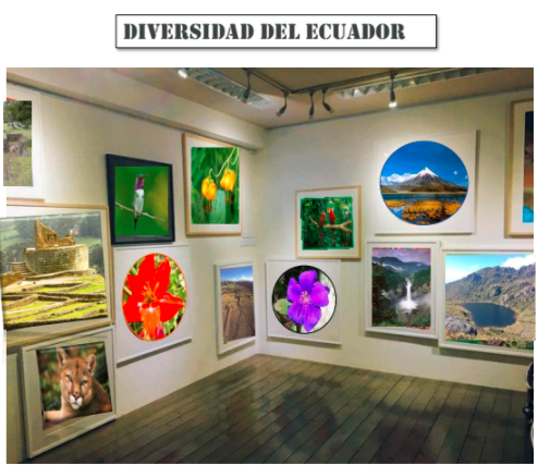 Arte Ecuatoriano :: Conociendo a mi Ecuador